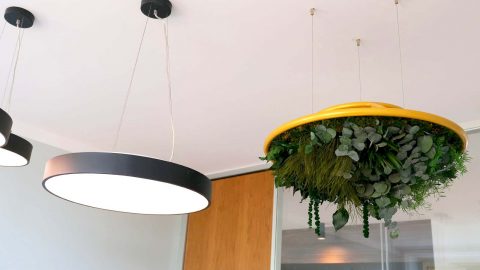 Wohlfühlen mit Moos - Ergonomie am Arbeitsplatz