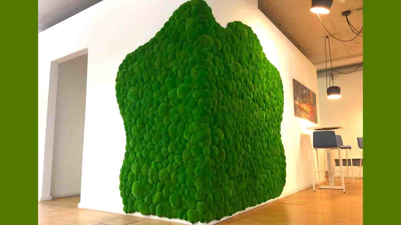 Wohlfühlen mit Moos - Ergonomie am Arbeitsplatz