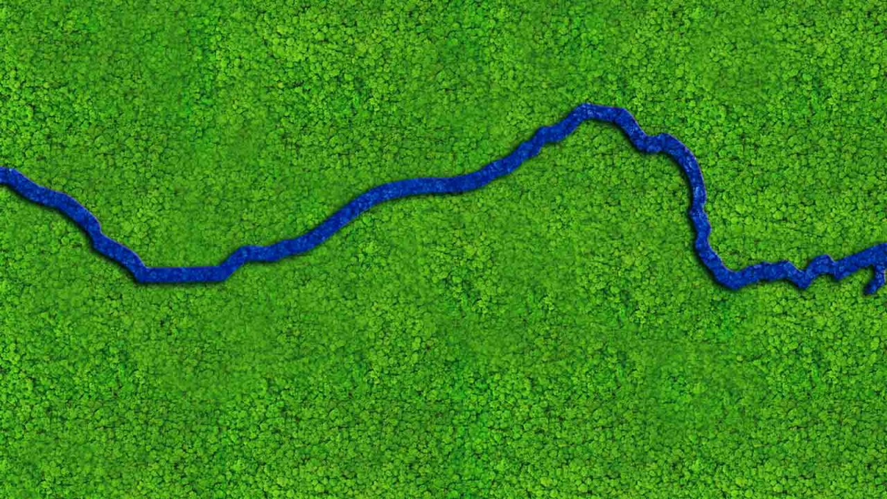 Wohlfühlen mit Moos - Ergonomie am Arbeitsplatz